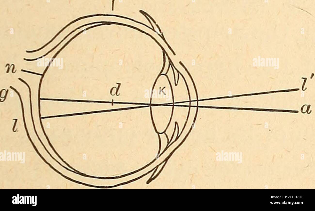 . The refraction of the eye; including a complete treatise on ...