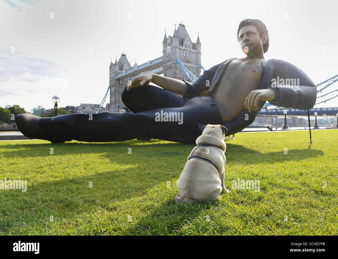 A 25ft statue of Jeff Goldblum's torso in his famous pose from Jurassic ...
