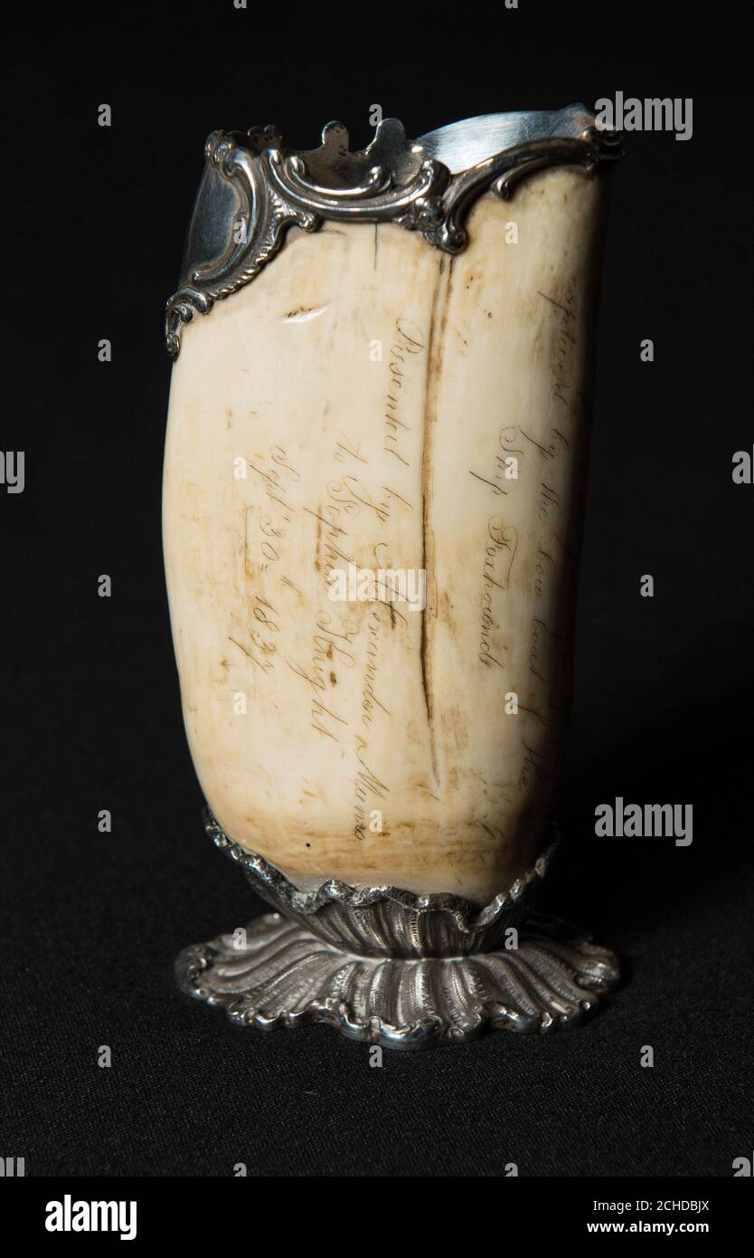 A piece of decorated scrimshaw, a whale's tooth, which will go on ...