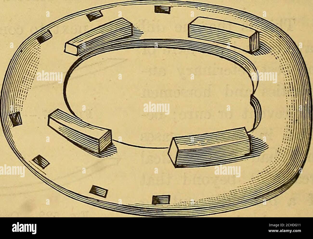 . The art of taming and educating the horse .. . Fig. 531.—Side view ...