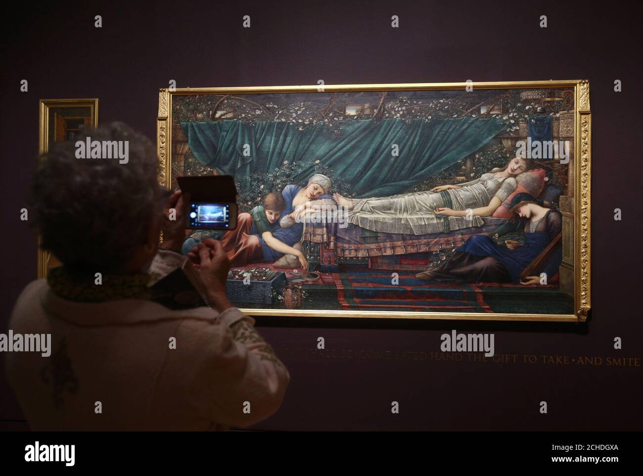 A visitor takes a photograph of The Rose Bower, 1886-90, by Edward ...