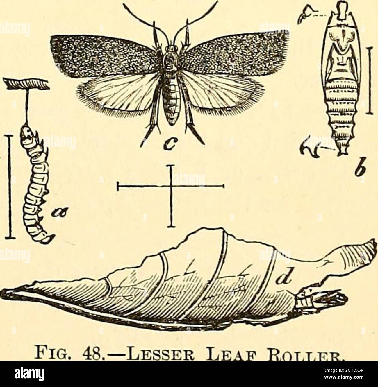. Injurious insects and the use of insecticides [microform] : a new ...
