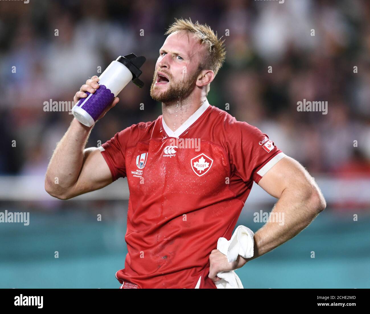 Canadas matt heaton hi-res stock photography and images - Alamy