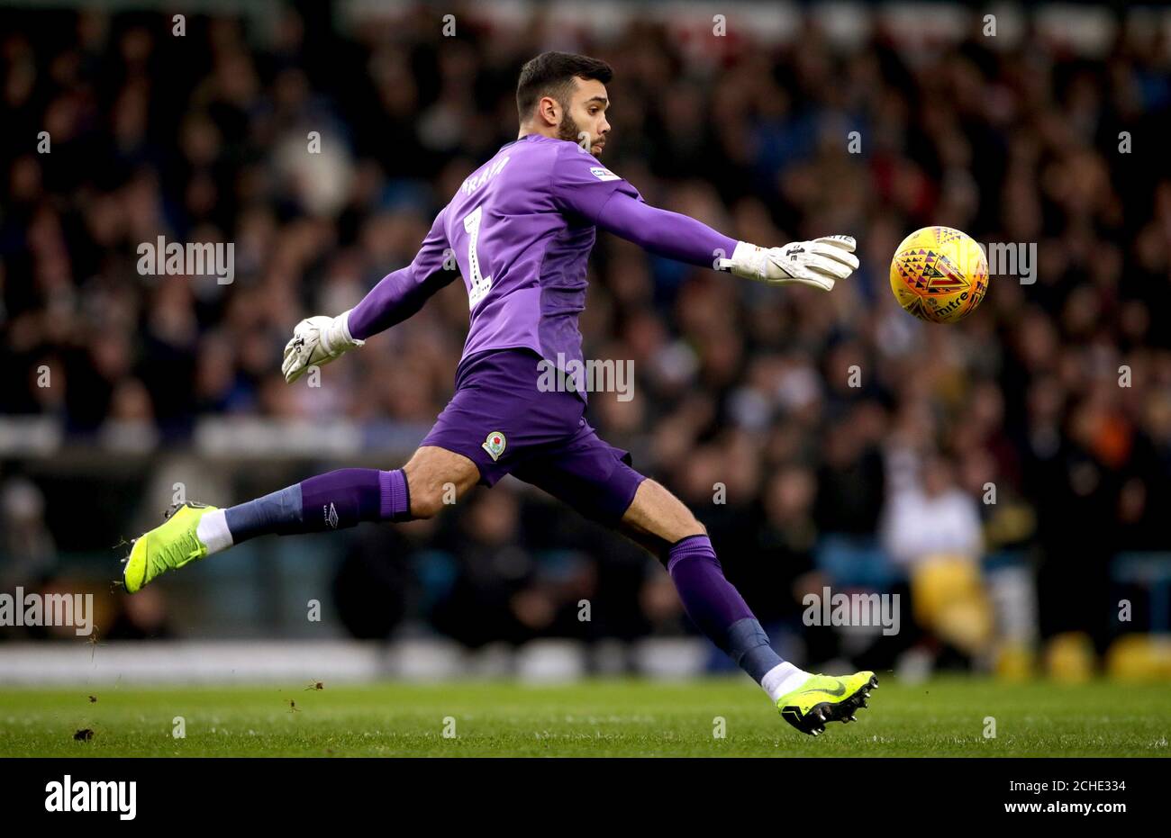 Blackburn goalkeeper David Raya Stock Photo - Alamy