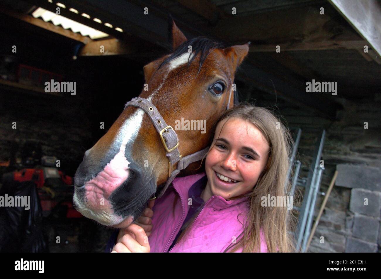 Twelve year old emily evans of tareni gleision farm hi-res stock ...
