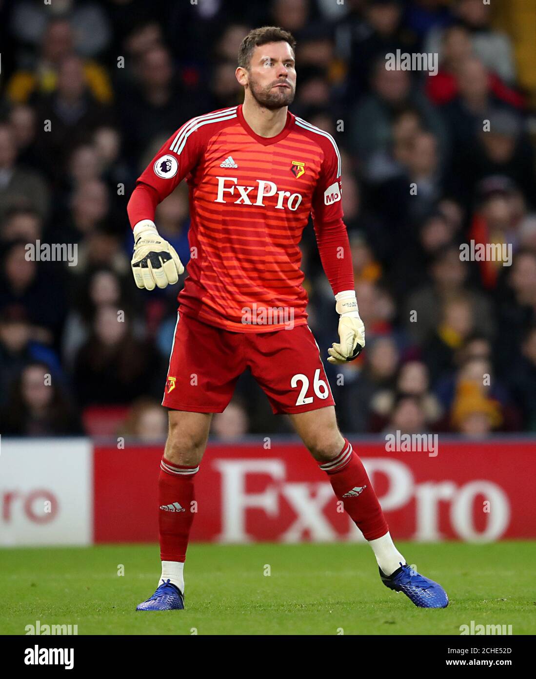 Watford goalkeeper Ben Foster Stock Photo - Alamy