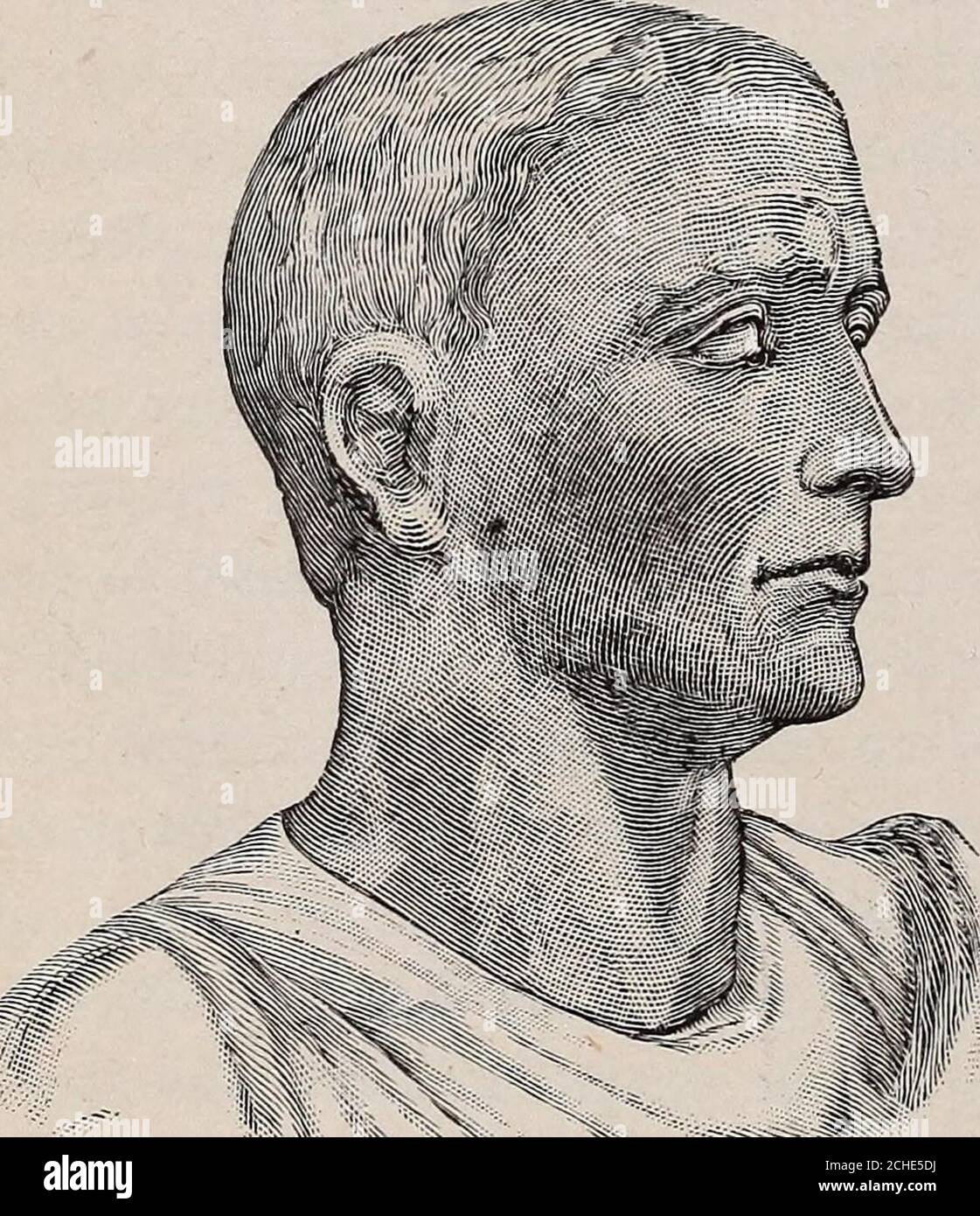 Scipio the great hi-res stock photography and images - Alamy
