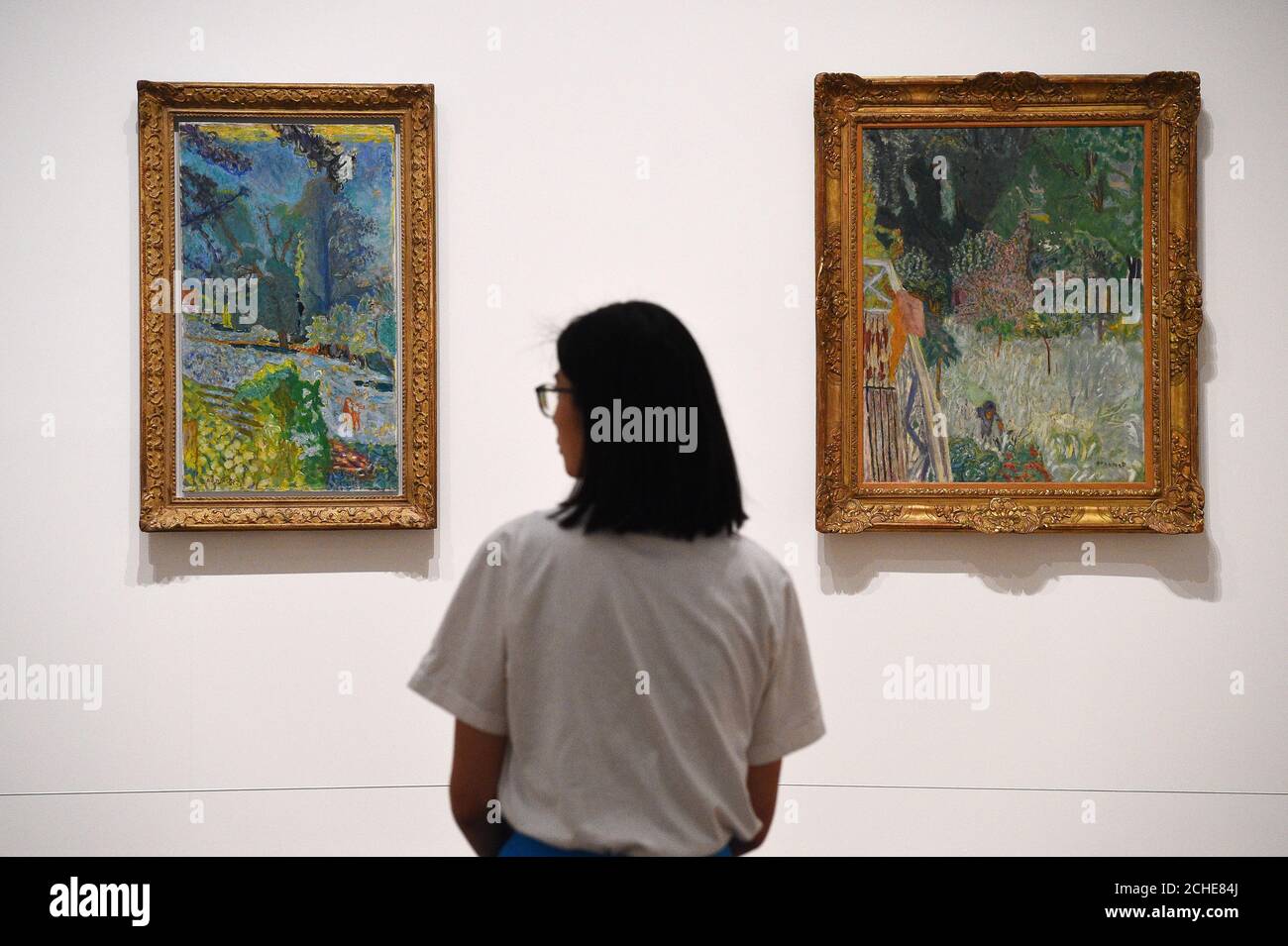 Pierre bonnard hi-res stock photography and images - Alamy