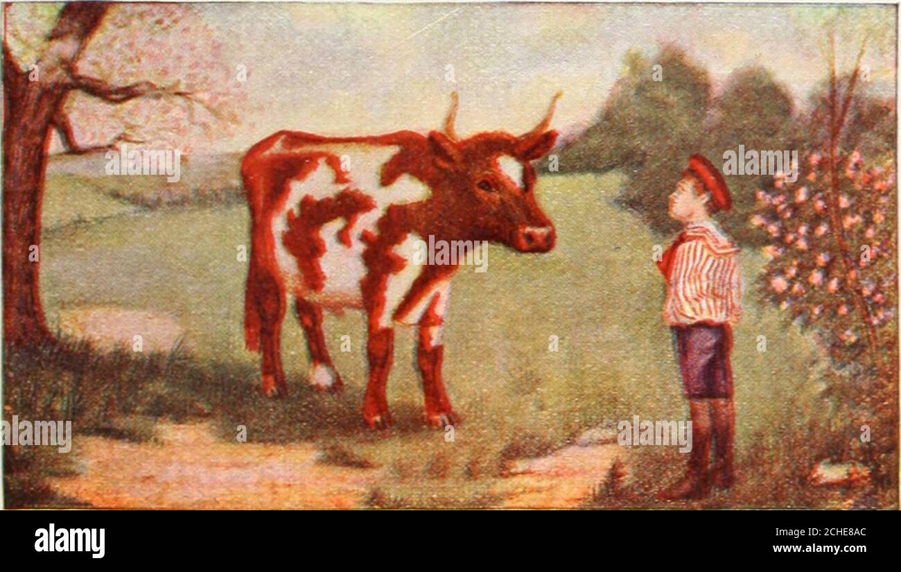 Frank wise school hi-res stock photography and images - Alamy