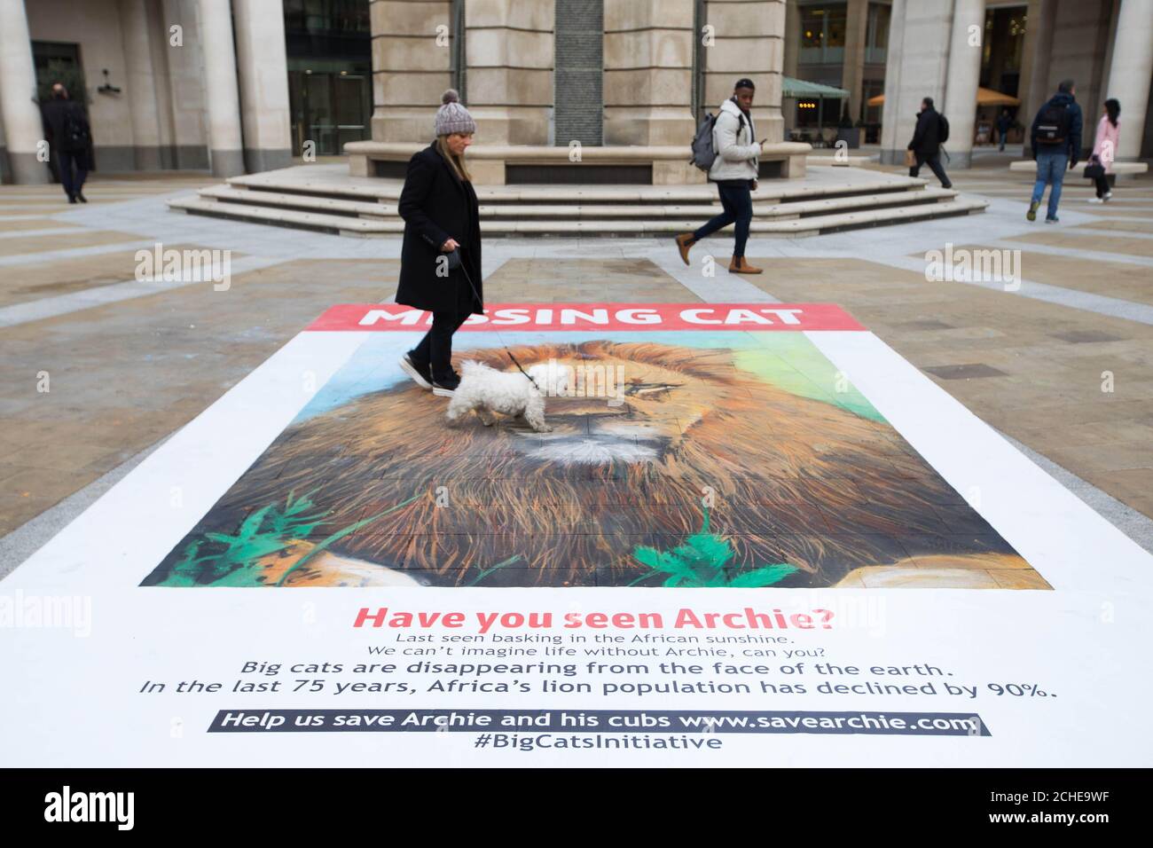 EDITORIAL USE ONLY A 6 x 4 meter chalk Ômissing cat' poster ...