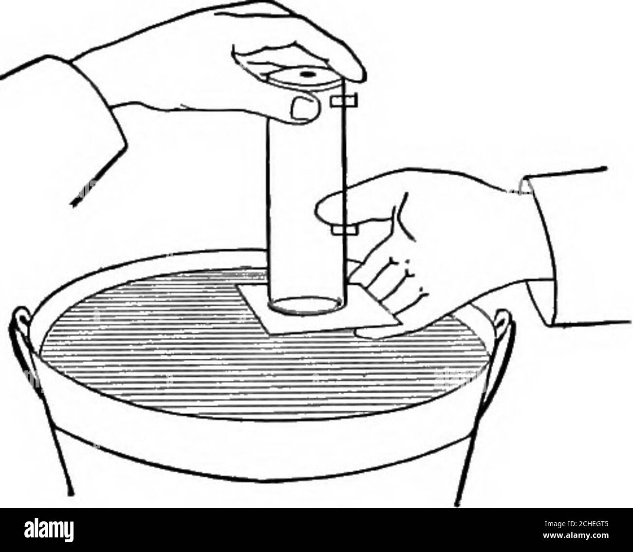 12 string lute or guitar Black and White Stock Photos & Images - Alamy