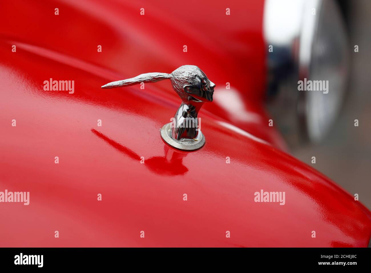 Bonnet emblem hi-res stock photography and images - Alamy