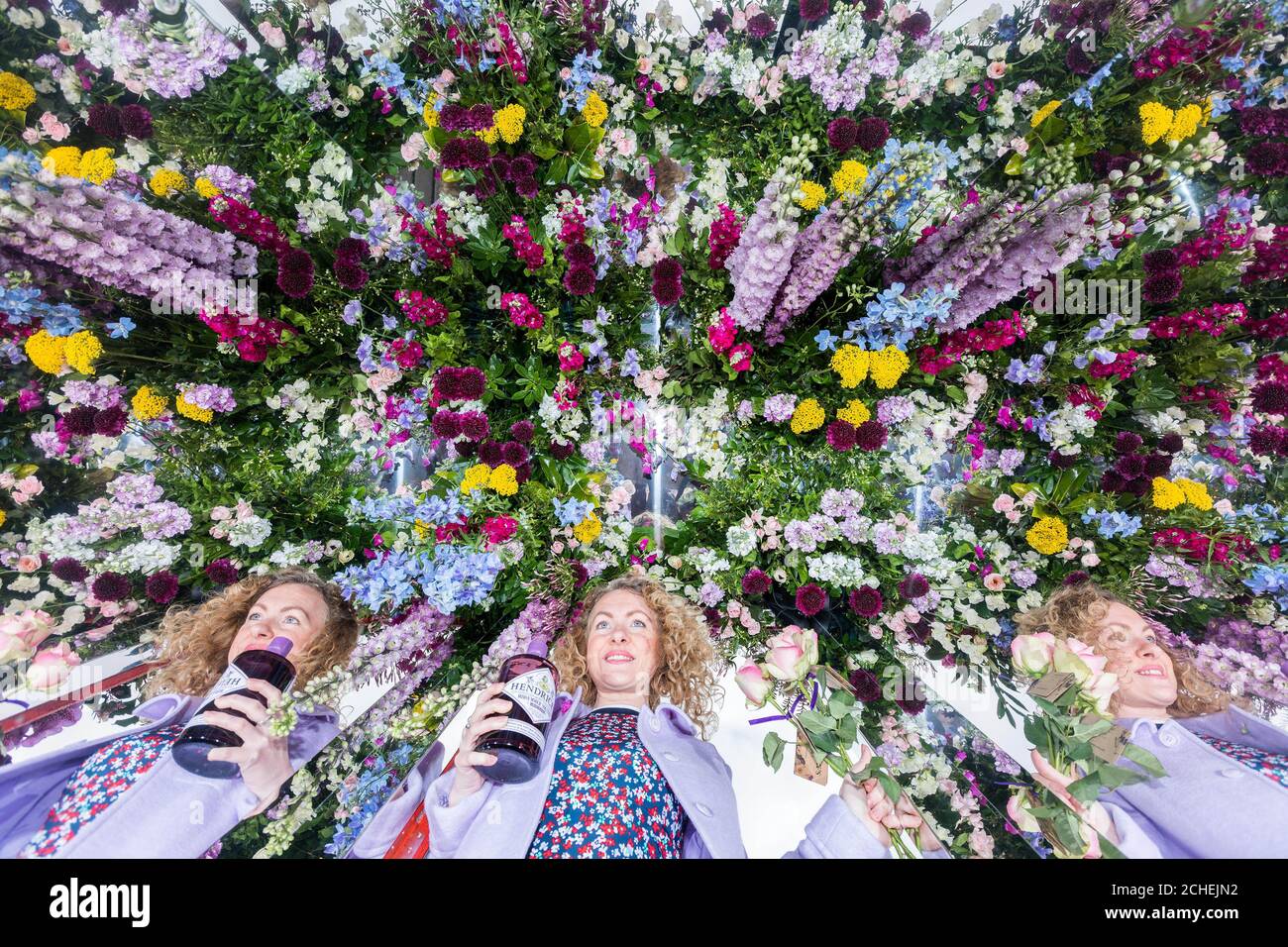 Limited edition hendricks midsummer solstice gin hi-res stock ...