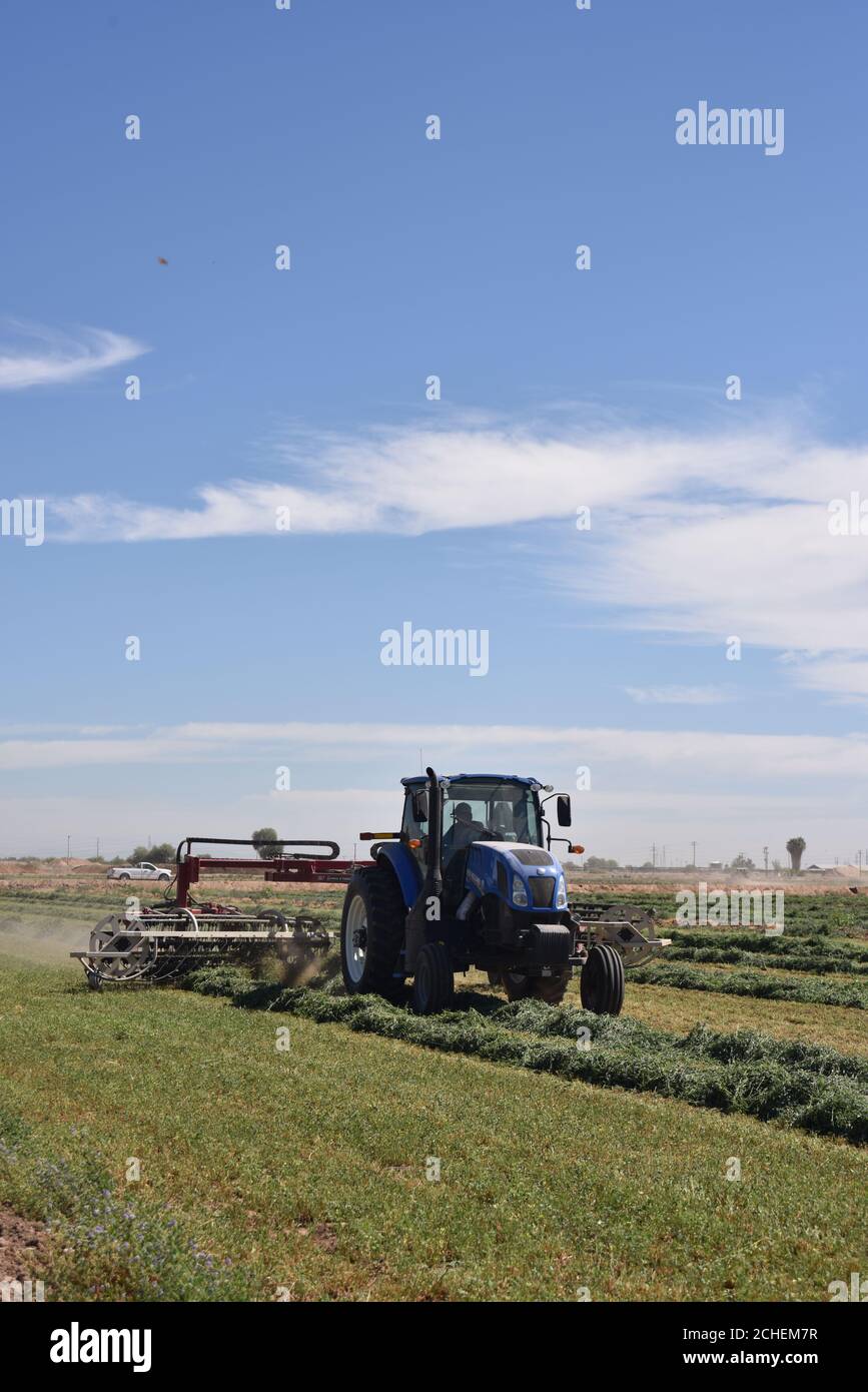 Buckeye, AZ. U.S.A. 6/25/2020. New Holland T56-121 dual power tractor ...