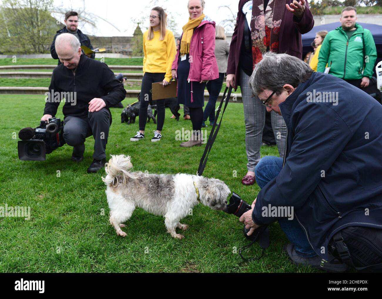 EDITORIAL USE ONLY Rocky the Lhasa Apso belonging to Christine Graham ...