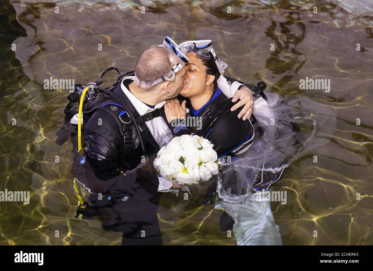 Tank berry hi-res stock photography and images - Alamy