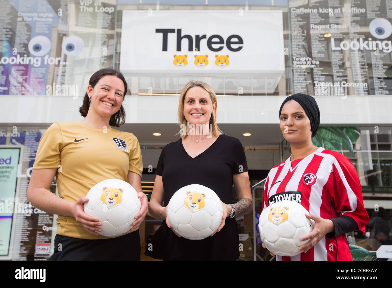 Revealed first female lion emoji hi-res stock photography and images ...