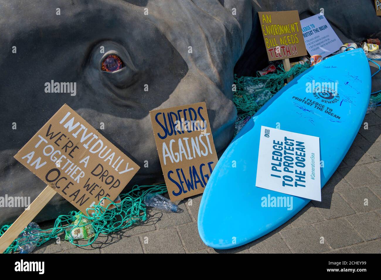 Plastic pledge uk hi-res stock photography and images - Alamy