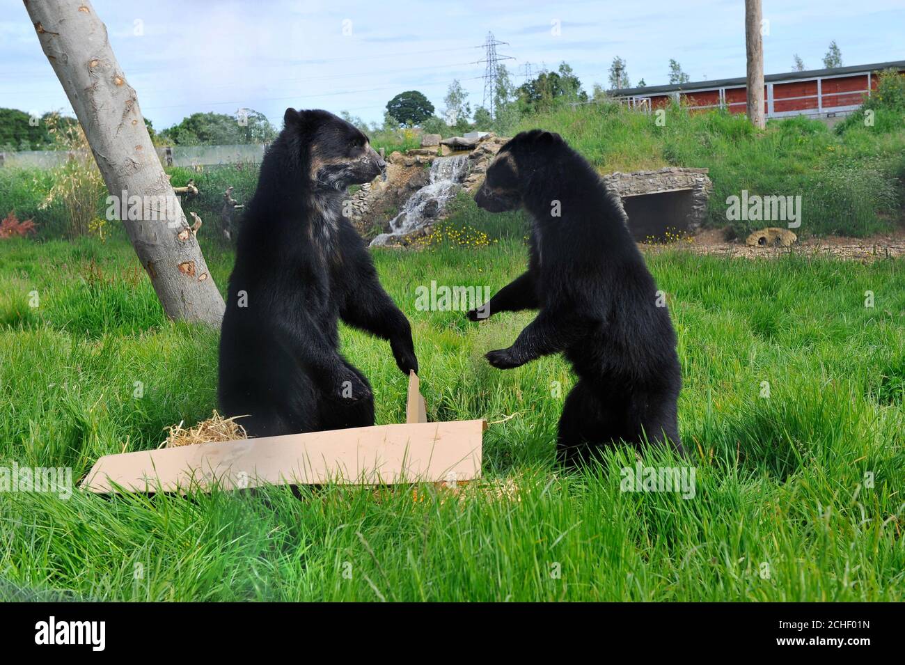 New home noahs ark zoo farm hi-res stock photography and images - Alamy