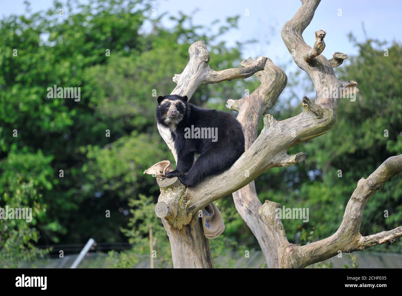 New home noahs ark zoo farm hi-res stock photography and images - Alamy
