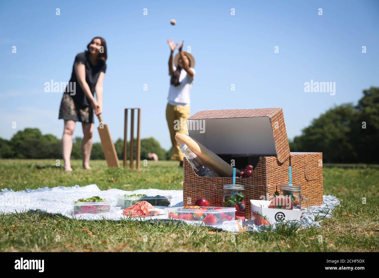 Cricket picnic hi-res stock photography and images - Alamy