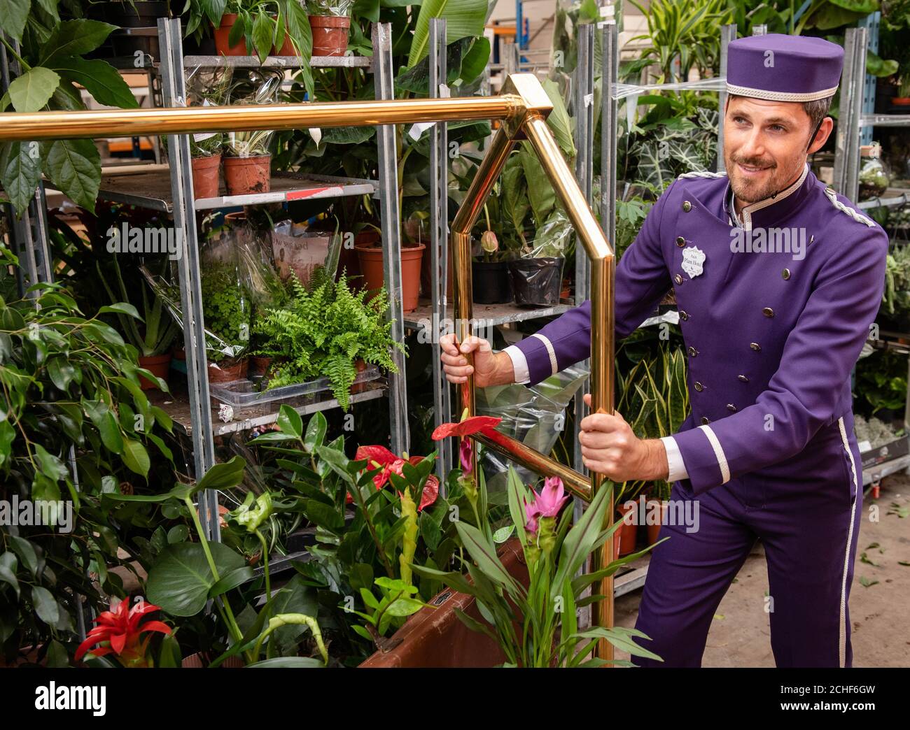 Houseplants named the patch plant hotel opens hi-res stock photography ...
