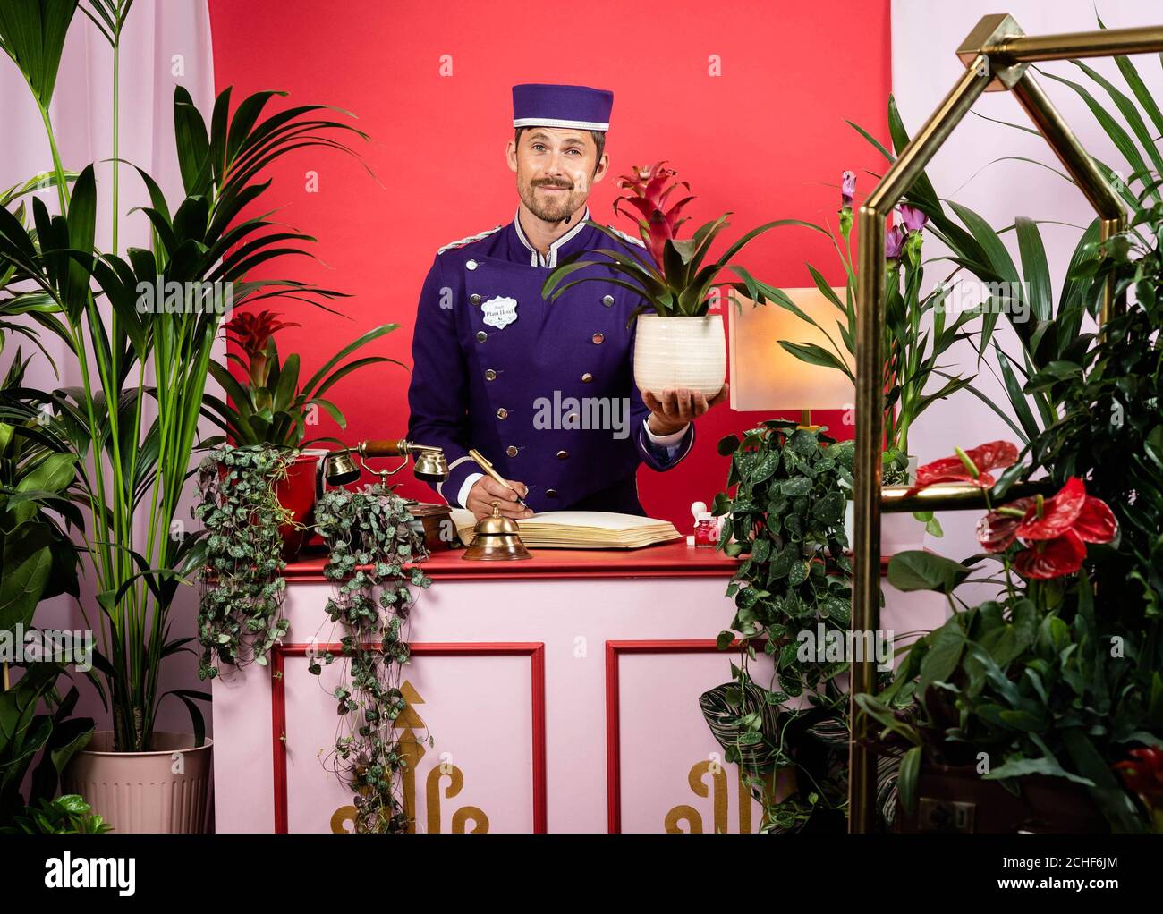 Houseplants named the patch plant hotel opens hi-res stock photography ...