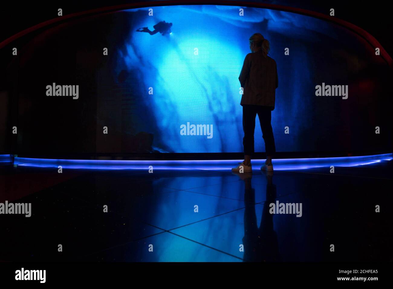 Bbc studios natural history unit hi-res stock photography and images ...