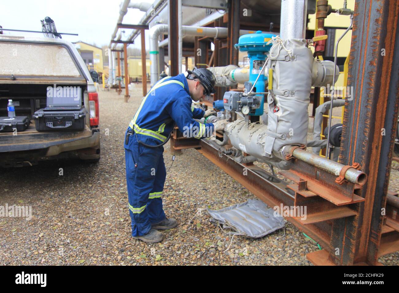 Groundbirch hi-res stock photography and images - Alamy