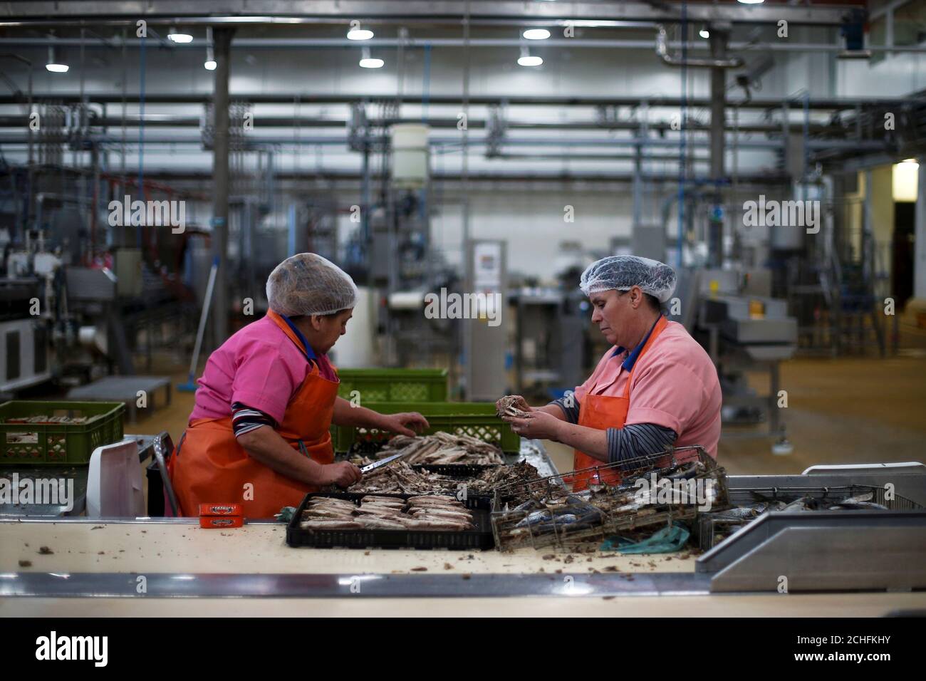 Anchovies in cans hi-res stock photography and images - Alamy