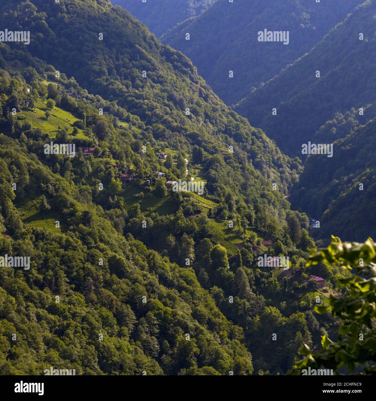Gorgeous shot of beautiful hills filled with green nature during ...