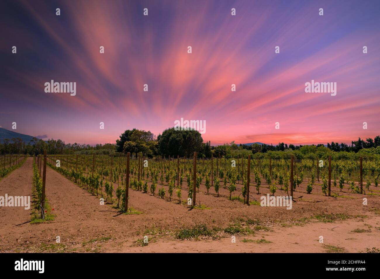 Landscape of vineyard in a dramatic red sunset with long exposure ...