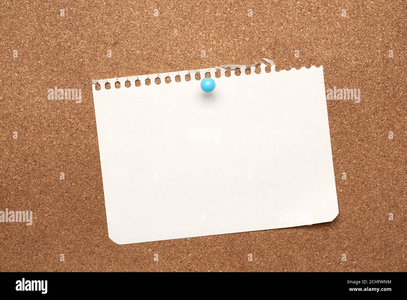 blank white sheet of paper attached with blue button on a brown ...
