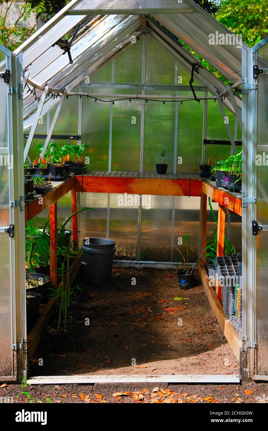 Urban Rain Gardens Are Very Popular (There Are 4 in My Immediate Area ...