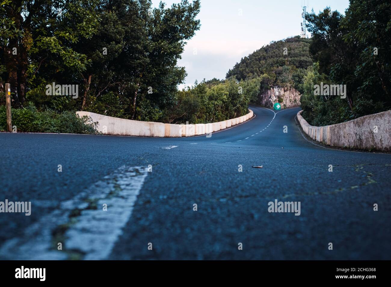 Entry street with two directions surrounded by forests Stock Photo - Alamy