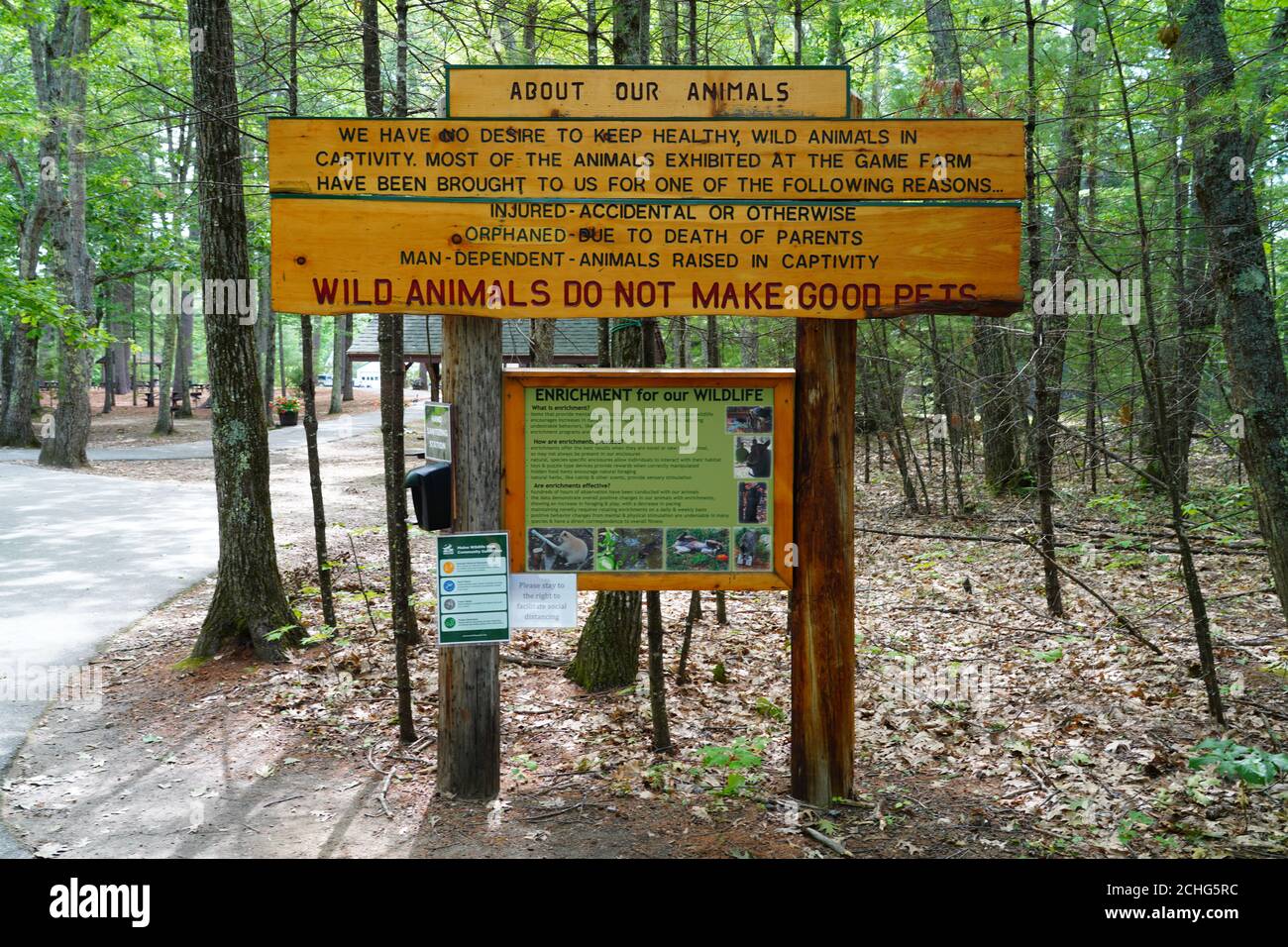 GRAY, ME –9 AUG 2020- View of the Maine Wildlife Park, a sanctuary ran ...