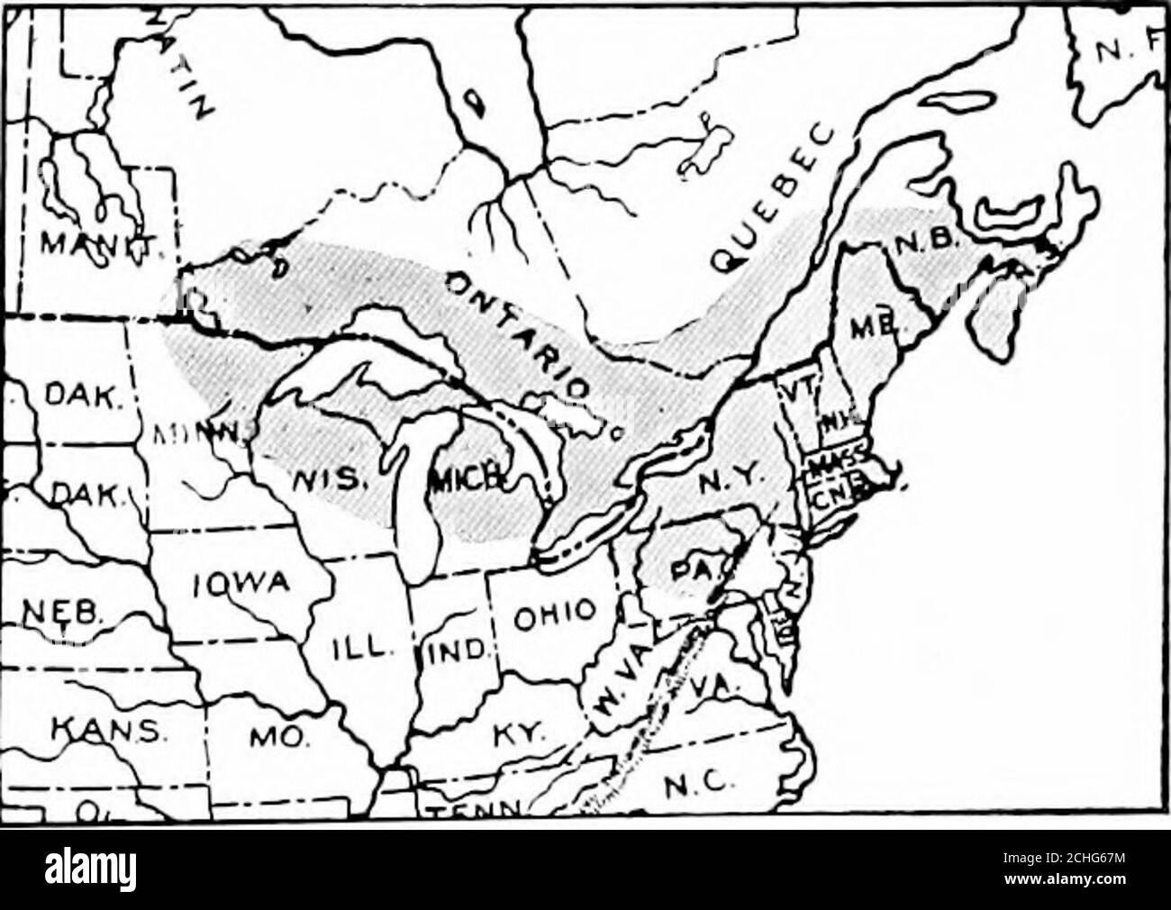 Red pine pinus resinosa bark hi-res stock photography and images - Alamy