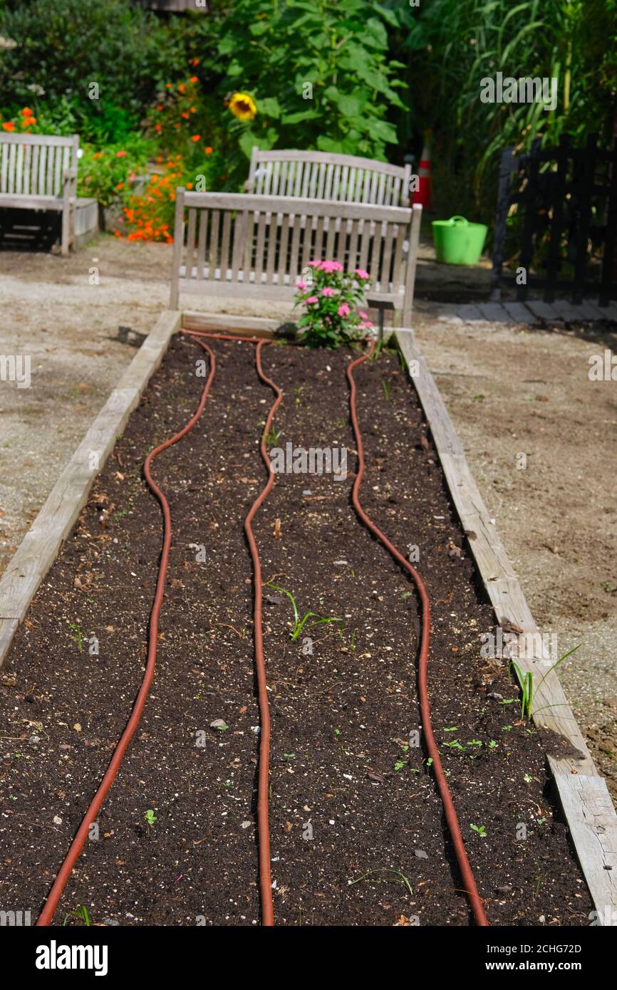 Urban Rain Gardens Are Very Popular (There Are 4 in My Immediate Area ...
