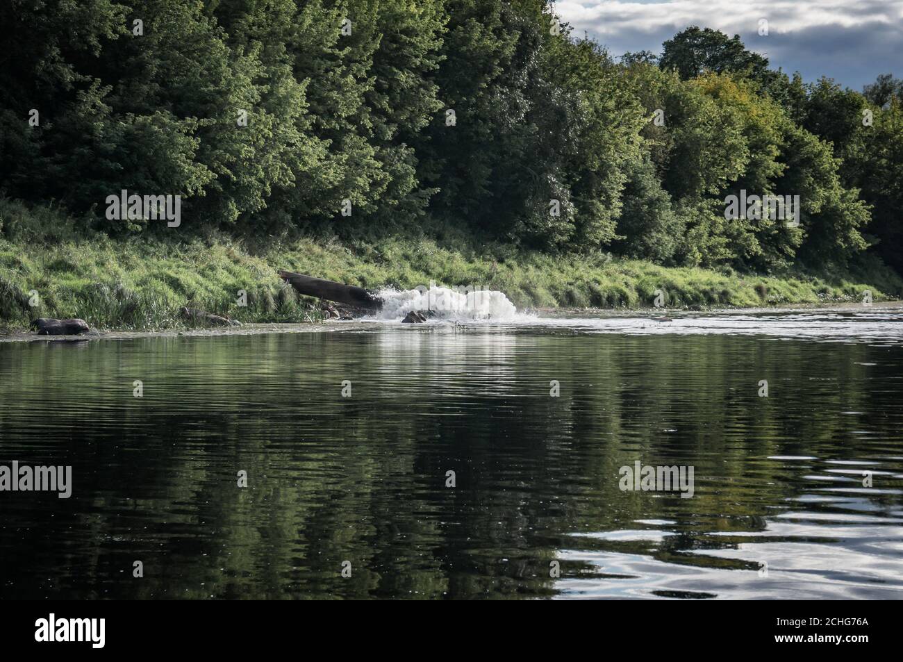 waste water is discharged into the river Stock Photo - Alamy