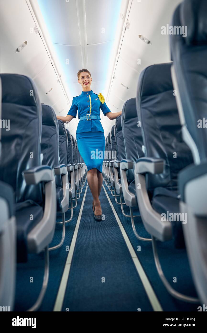 Happy smiling air hostess wearing suit standing near the cozy passenger ...