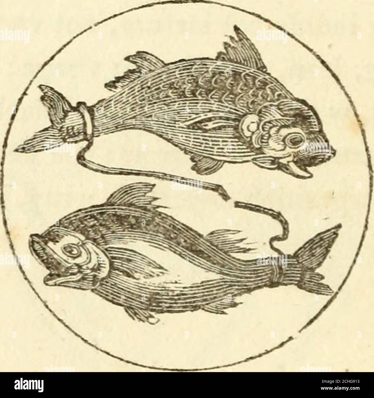 Western set aerial hi-res stock photography and images - Alamy