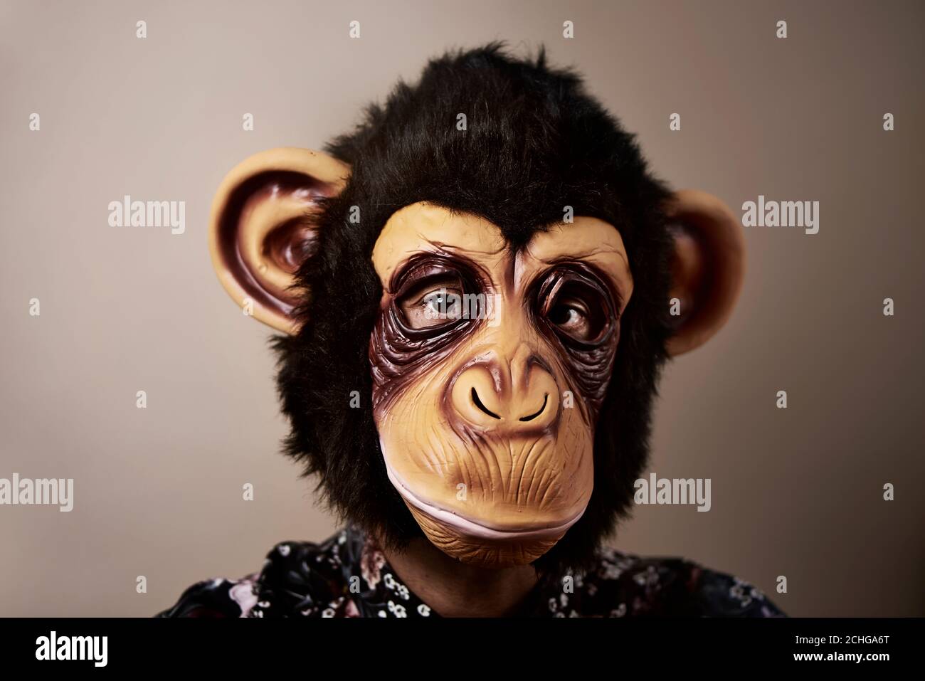 Monkey Masquerade Masks