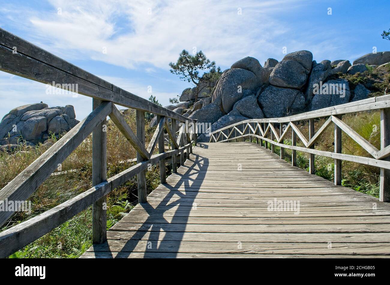 Wooden path among the rocks and pine trees. Vacation. Relaxation Stock ...