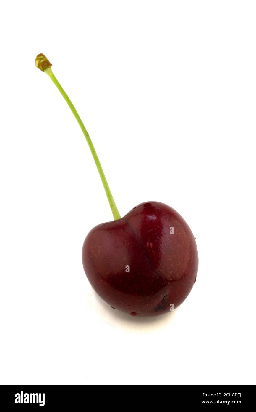 one ripe red cherry berry isolated on the white background Stock Photo ...