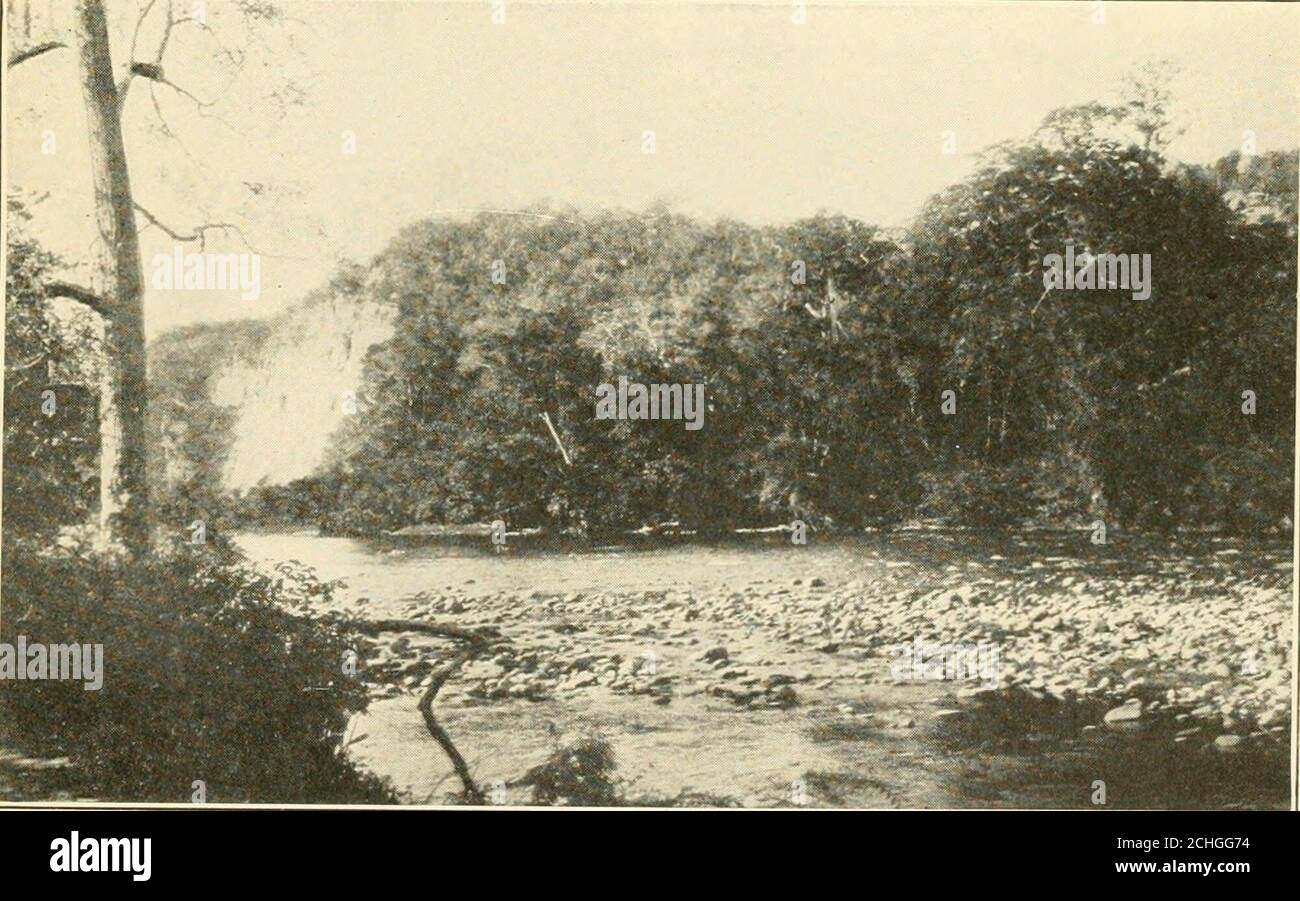 . A geological reconnaissance of the Dominican republic . A. CERCADO ...