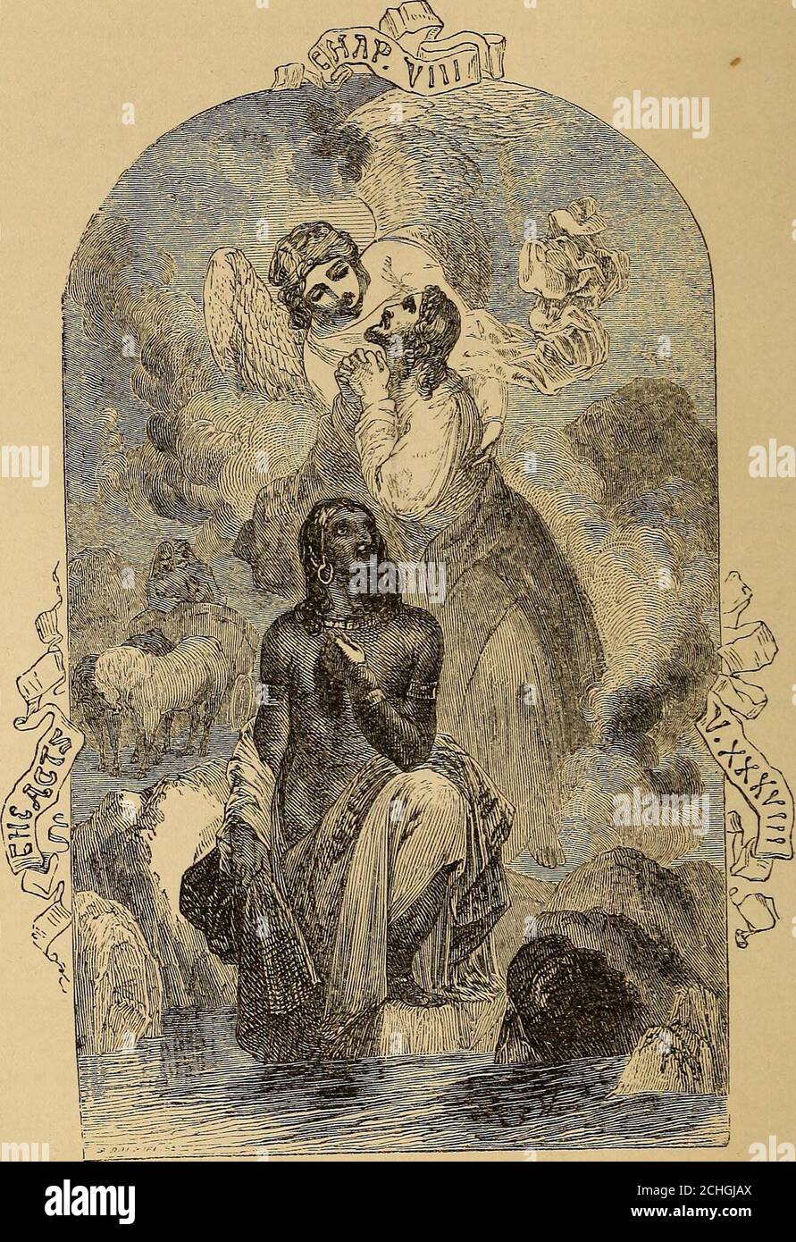 False vest hi-res stock photography and images - Alamy