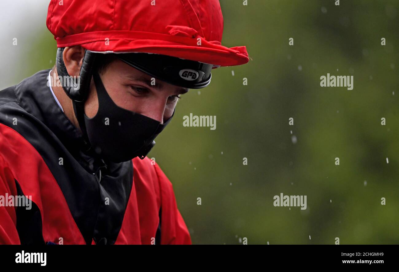 Francesca altoft pa wire hi-res stock photography and images - Alamy