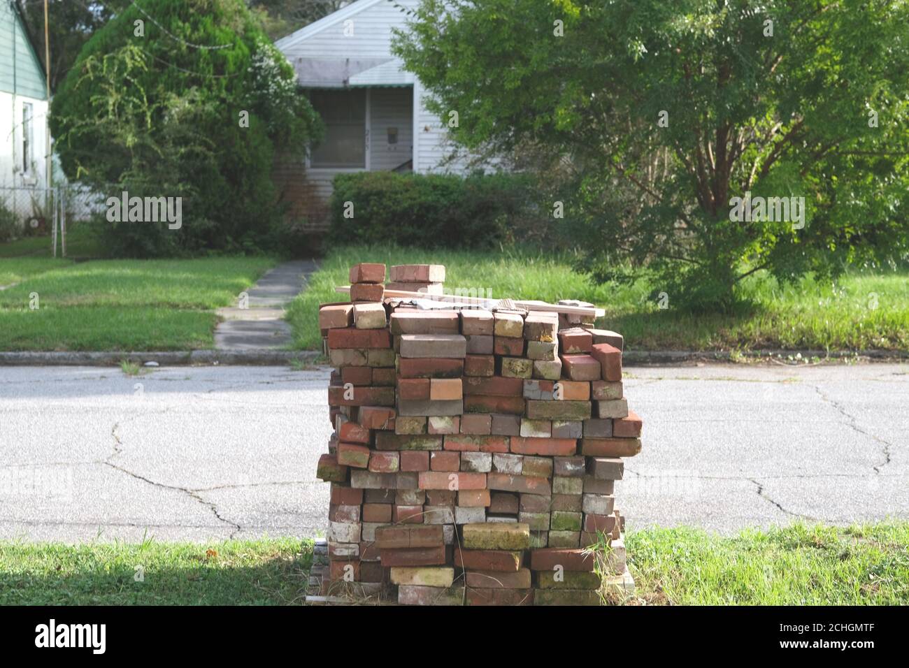 Urban Rain Gardens Are Very Popular (There Are 4 in My Immediate Area ...