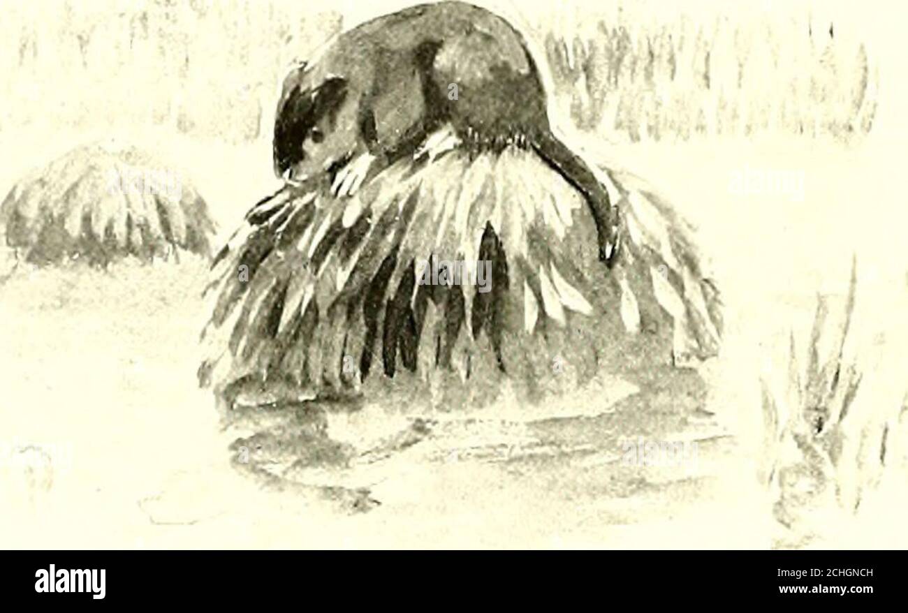 Solidly frozen hi-res stock photography and images - Alamy