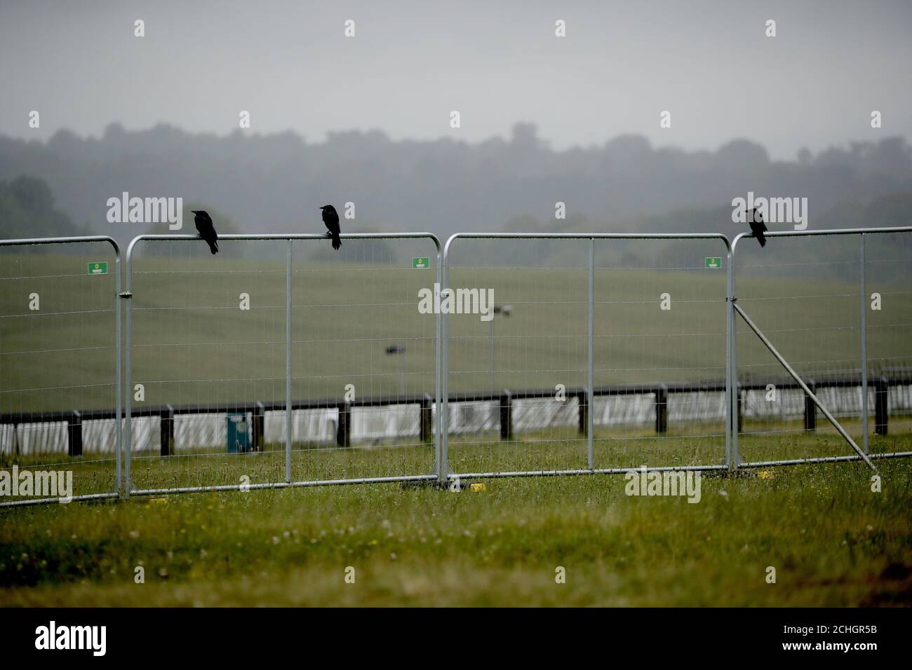Crows sit on fencing erected around the Epsom Downs racecourse, in ...
